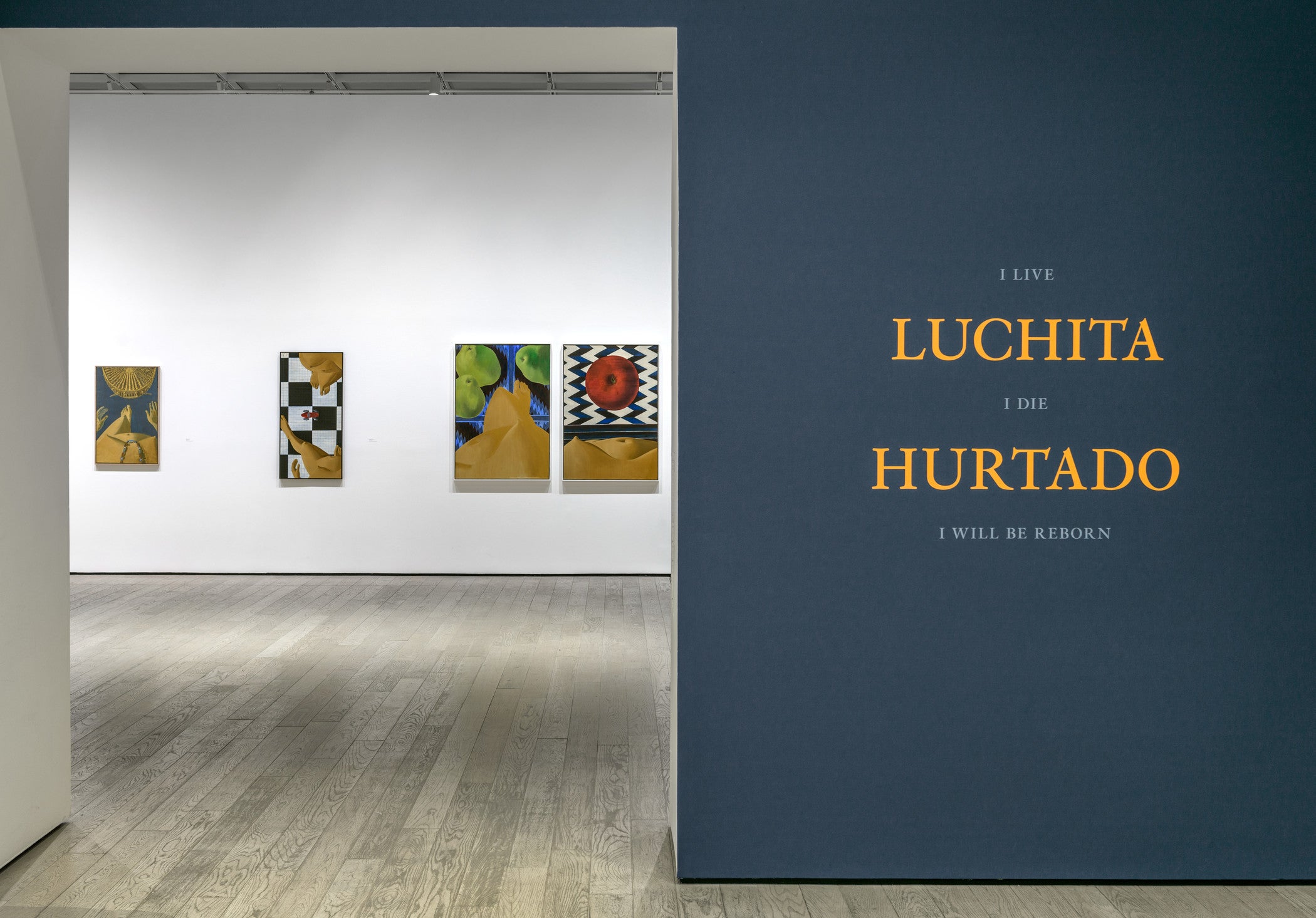 Member Experience at LACMA | LACMA